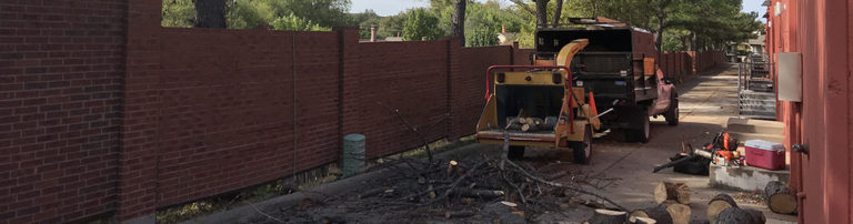 Tree Removal in Fort Worth, TX - A Matt Tree Service