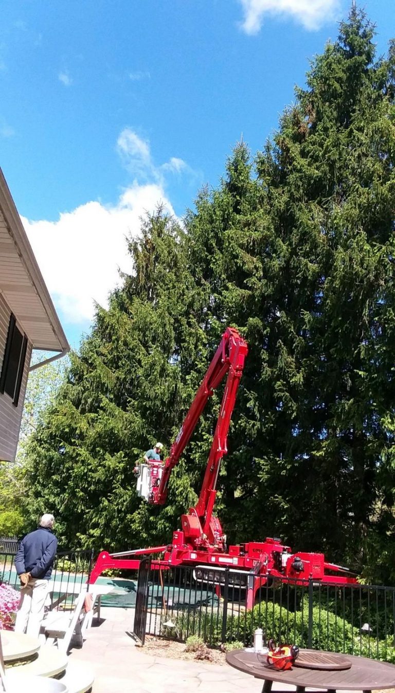 Tree Removal Equipment - A Matt Tree Service in Fort Worth, TX